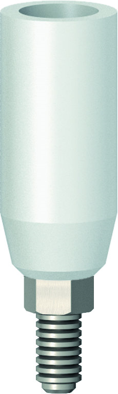 Plastic Abutment Modular Hex for implant H2.43 | DMi - DMi